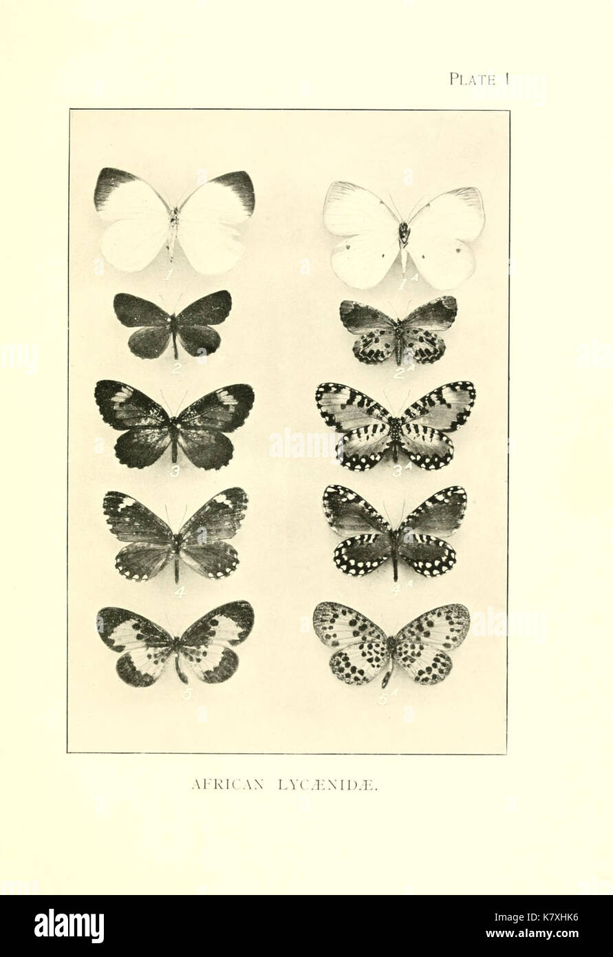 Wing illustrations hi-res stock photography and images - Alamy