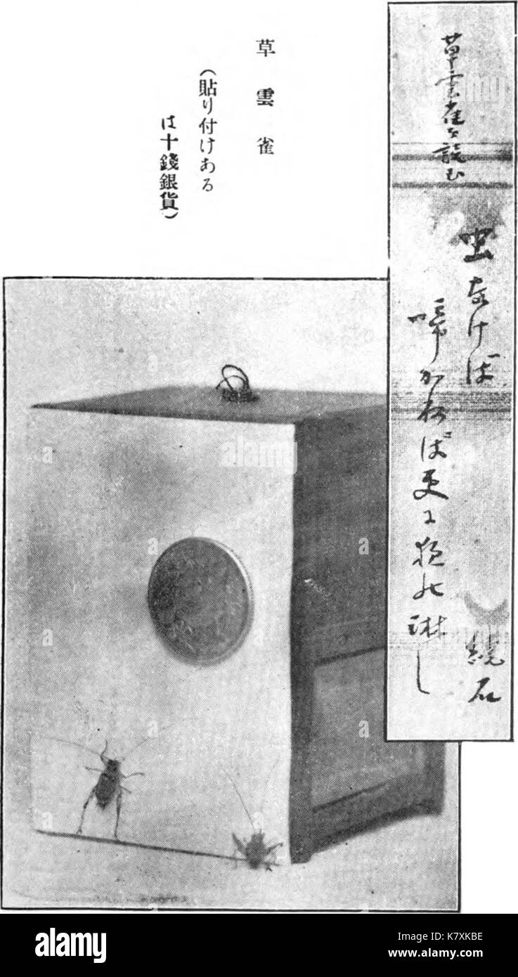 Insect plate illustration hi-res stock photography and images - Alamy