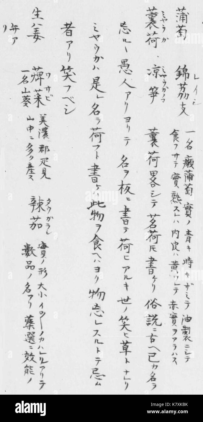 Iwami hi-res stock photography and images - Alamy