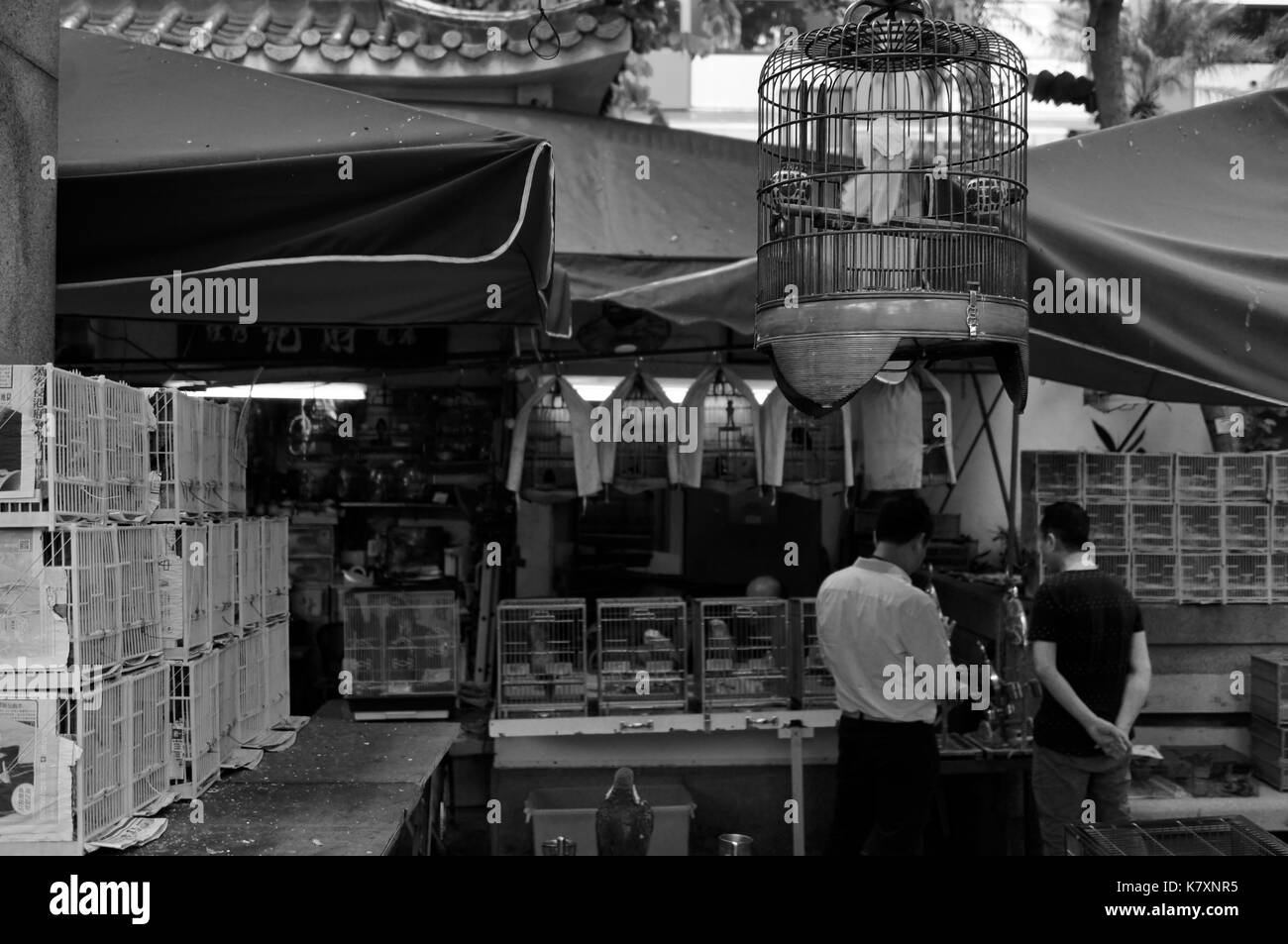 The bird market Black and White Stock Photos & Images - Alamy