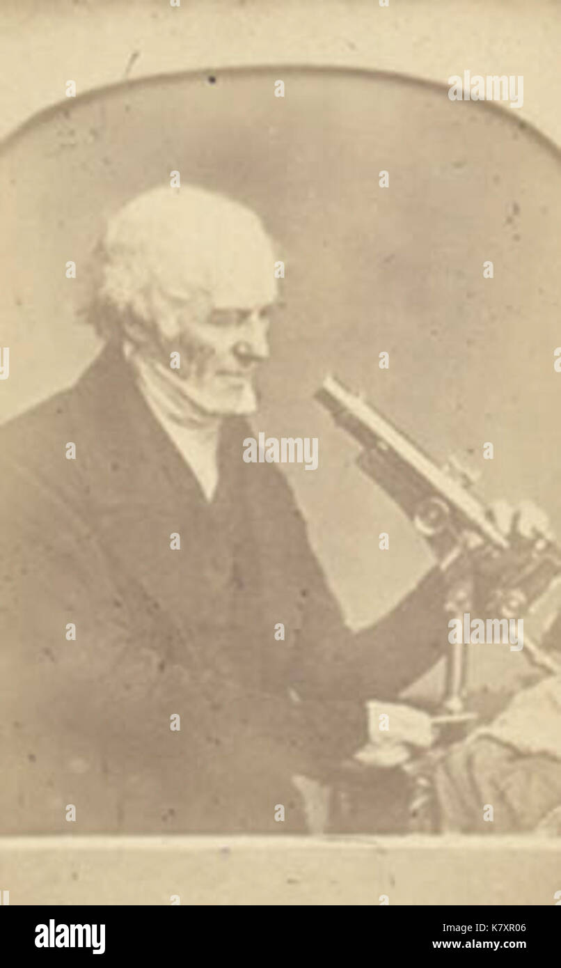 Estlin hi-res stock photography and images - Alamy