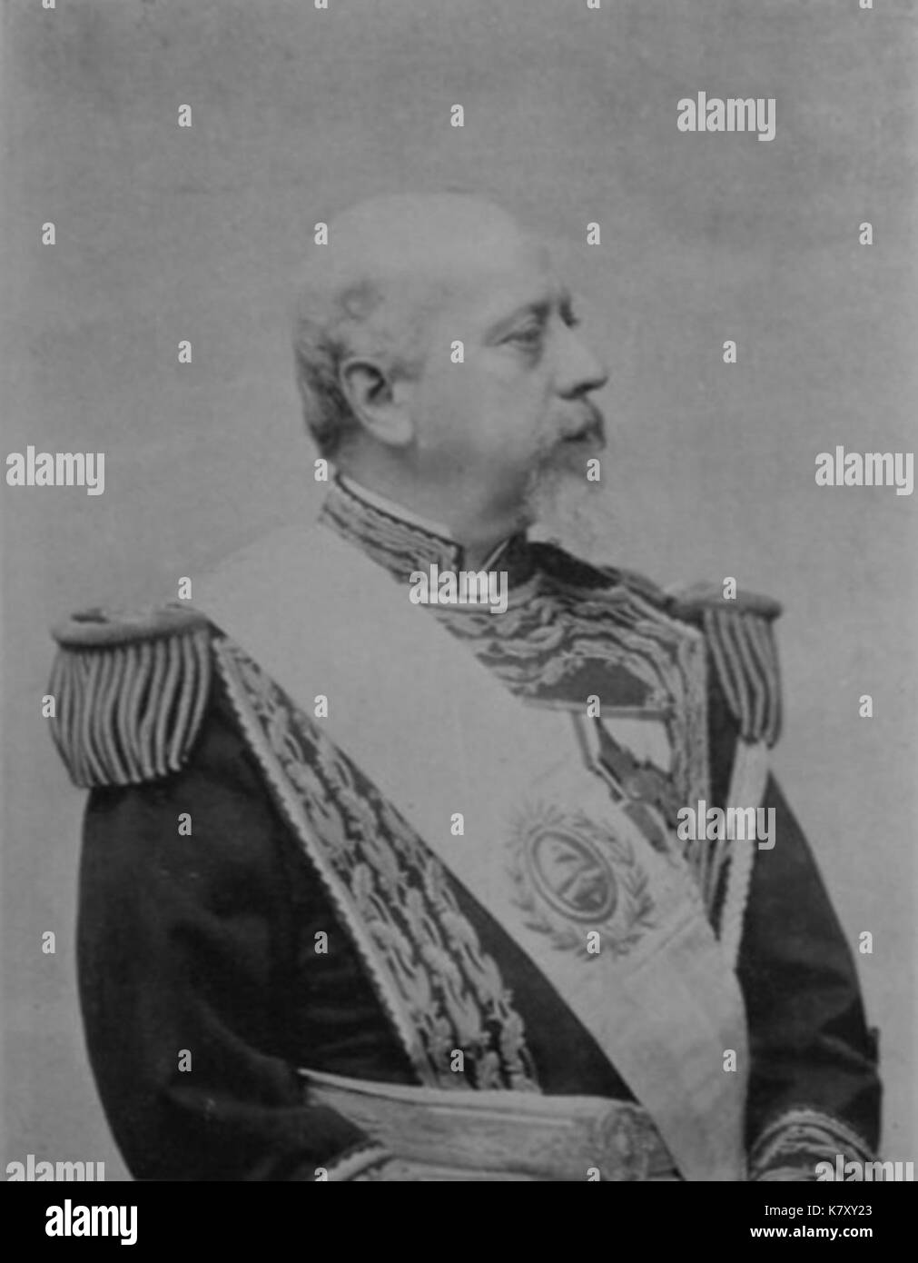 Julio Argentino Roca con la banda presidencial Stock Photo - Alamy