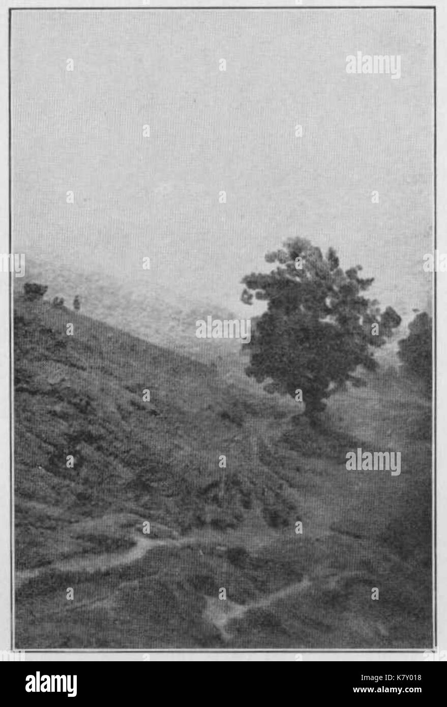 1478 map hi-res stock photography and images - Alamy