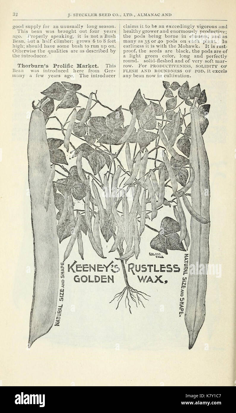 Steckler hi-res stock photography and images - Alamy