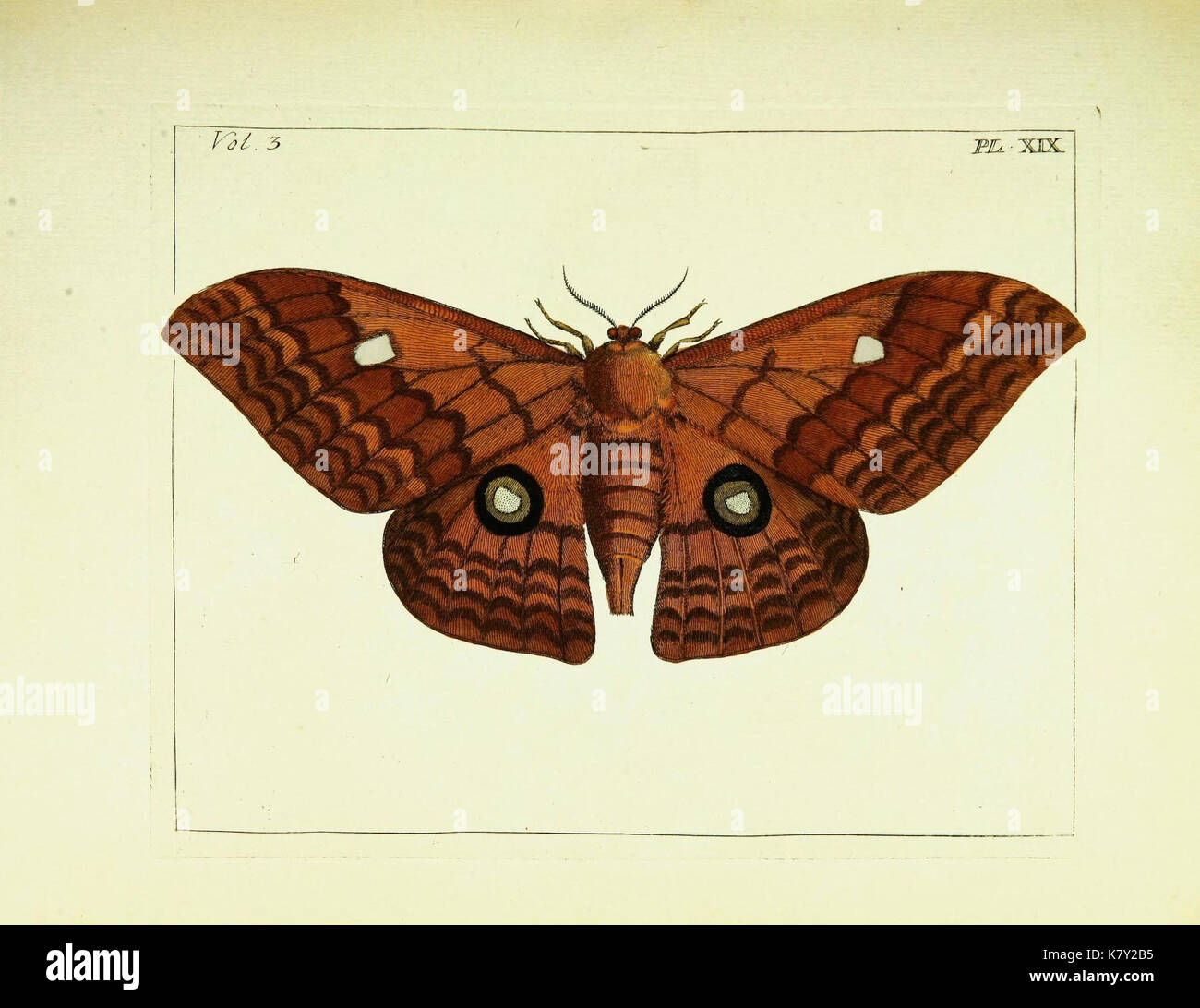 Xix century book illustrations hi-res stock photography and images - Alamy