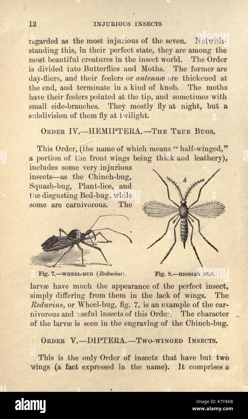 Injurious species hi-res stock photography and images - Alamy