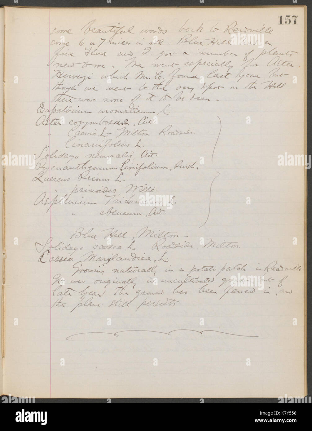 1886 events hi-res stock photography and images - Alamy