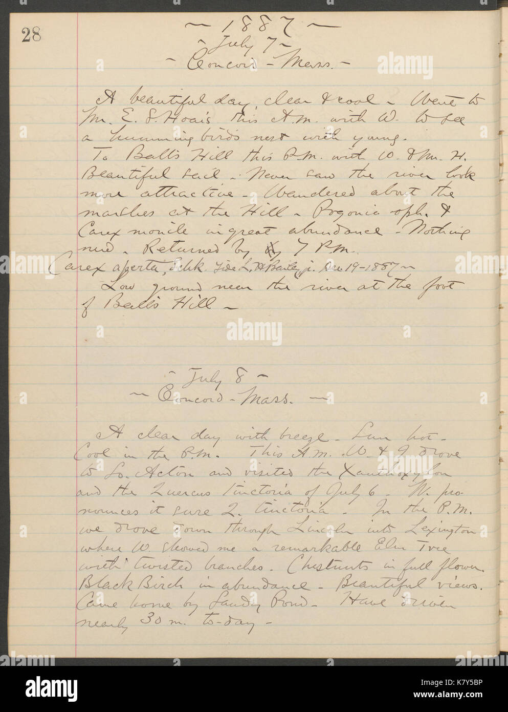 Journal, 1887 1890 (inclusive) (Page 28) BHL40346720 Stock Photo - Alamy