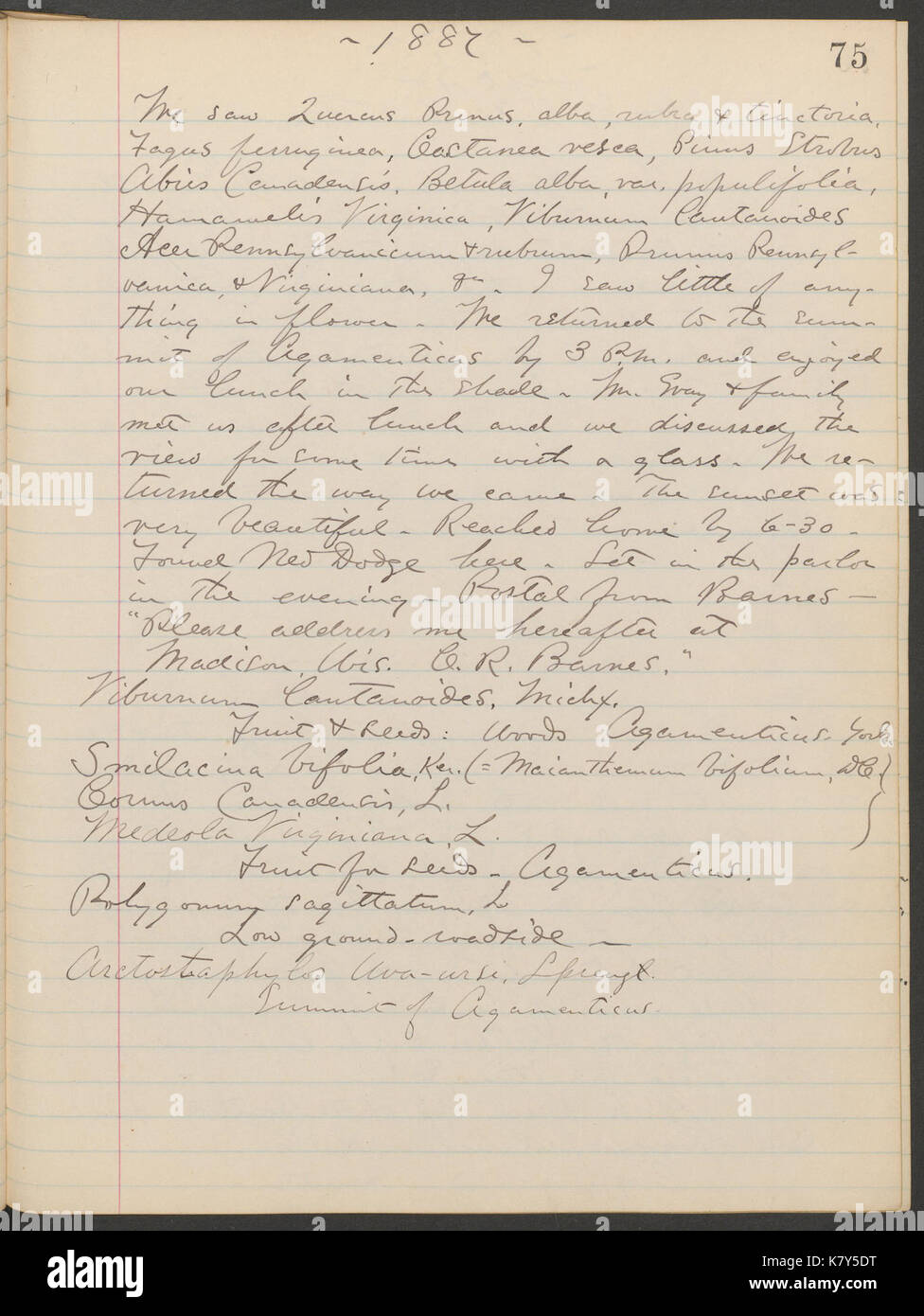 1887 diary hi-res stock photography and images - Alamy