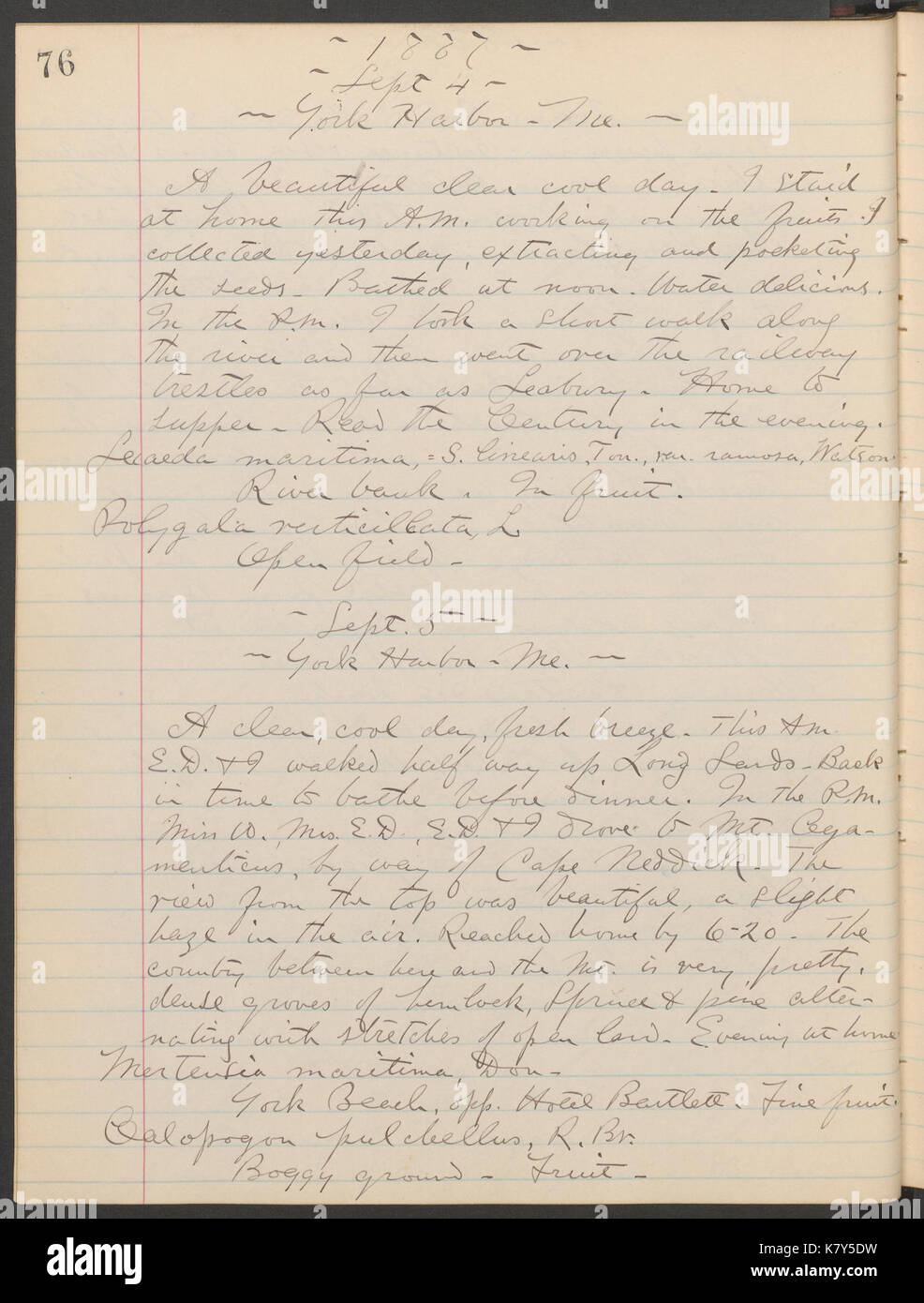 Journal, 1887 1890 (inclusive) (Page 76) BHL40346768 Stock Photo - Alamy