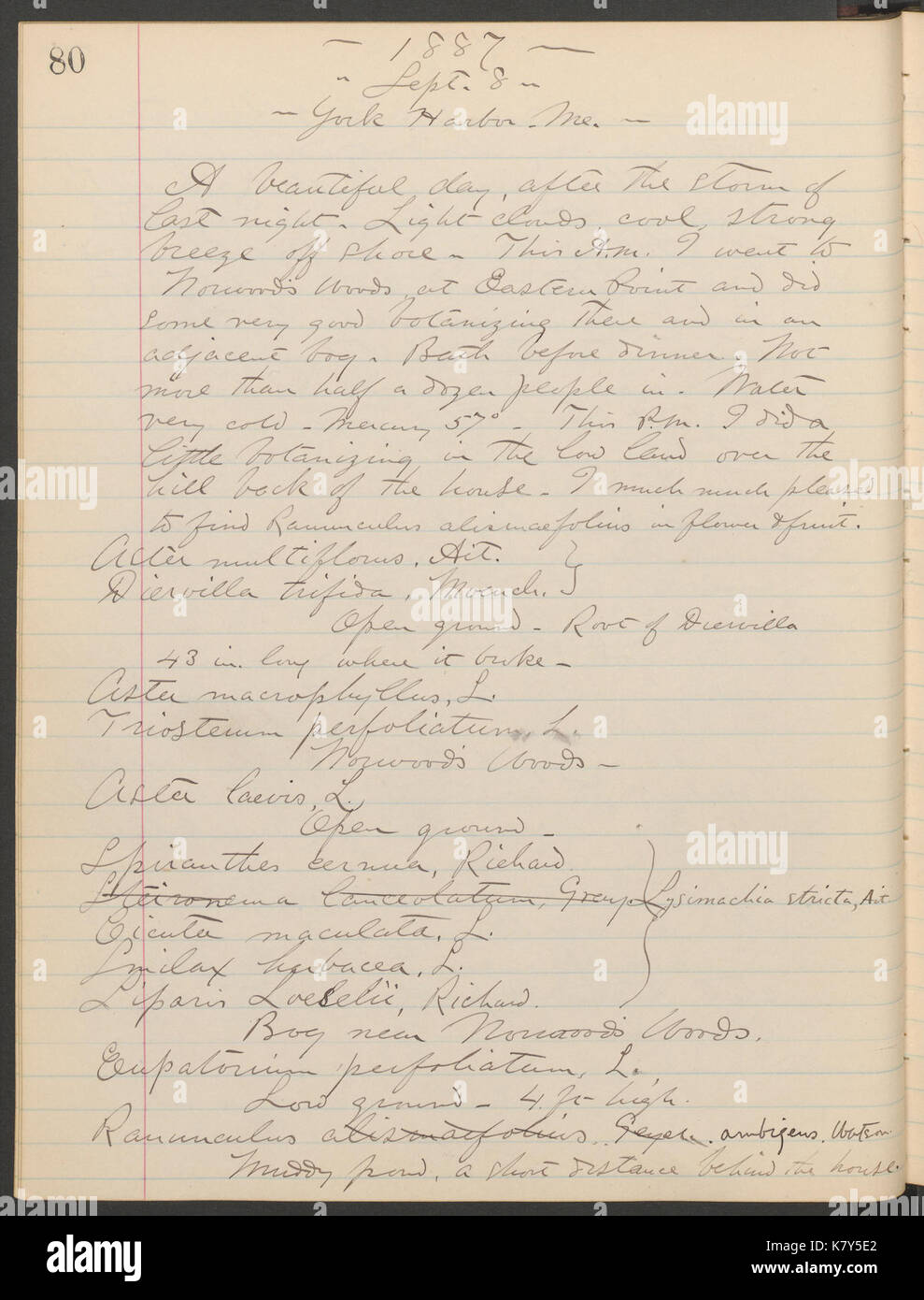 Journal, 1887 1890 (inclusive) (Page 80) BHL40346772 Stock Photo - Alamy