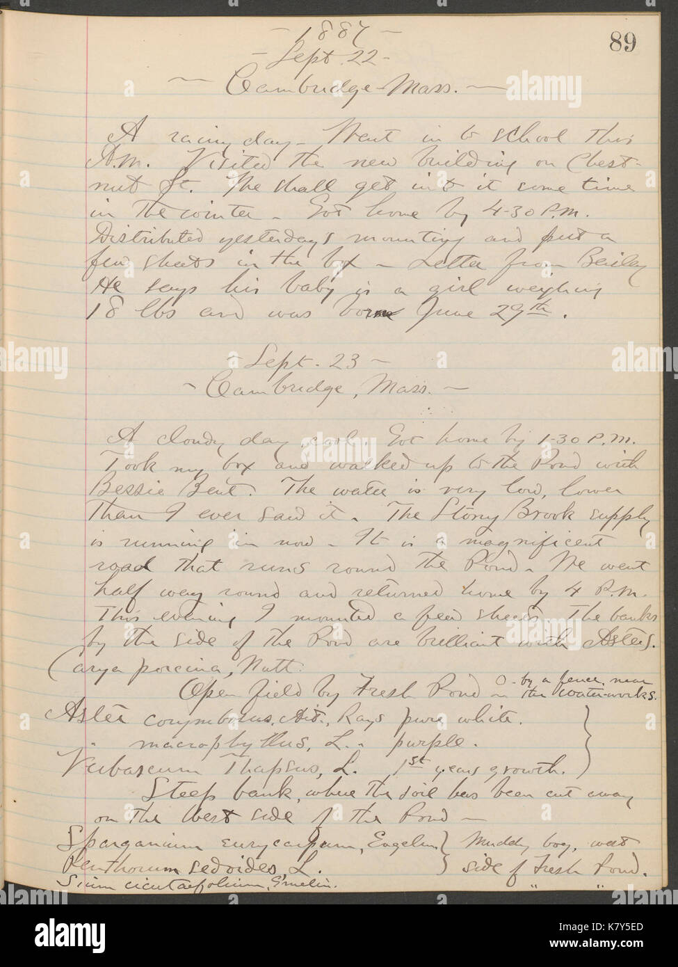 Journal, 1887 1890 (inclusive) (Page 89) BHL40346781 Stock Photo - Alamy