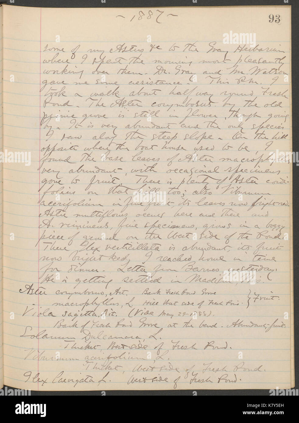 1887 diary hi-res stock photography and images - Alamy