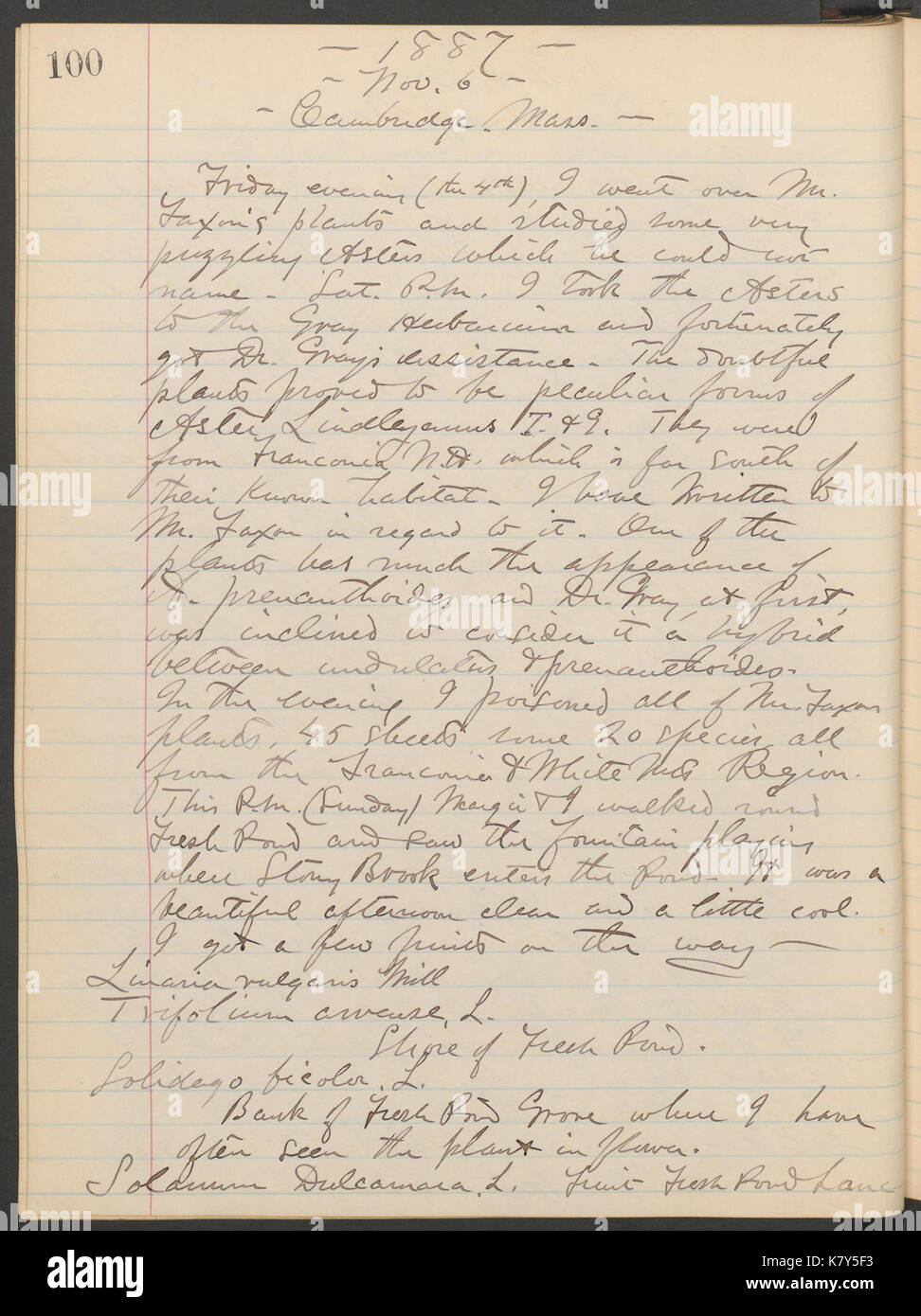 Journal, 1887 1890 (inclusive) (Page 100) BHL40346792 Stock Photo - Alamy