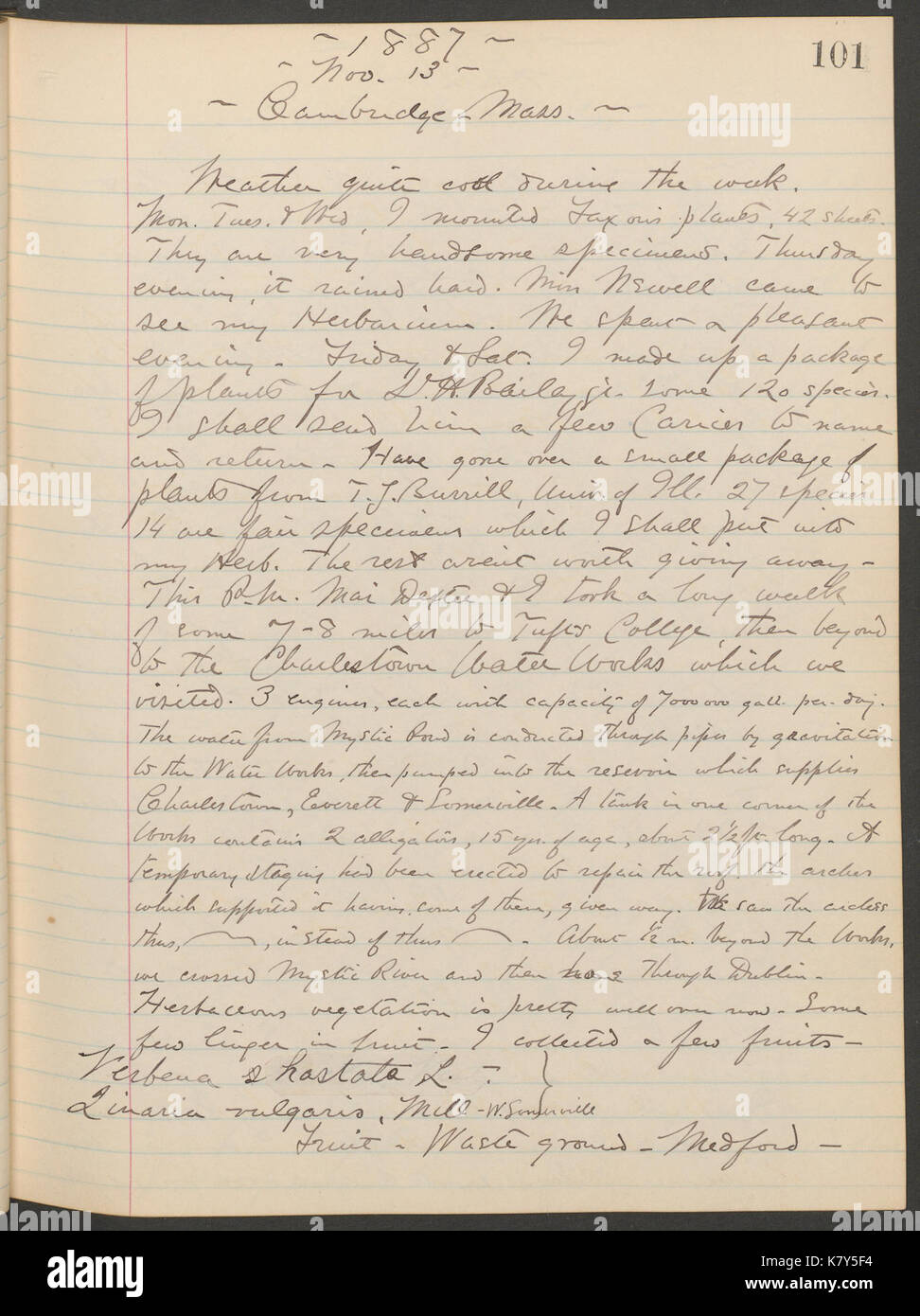 Journal, 1887 1890 (inclusive) (Page 101) BHL40346793 Stock Photo - Alamy