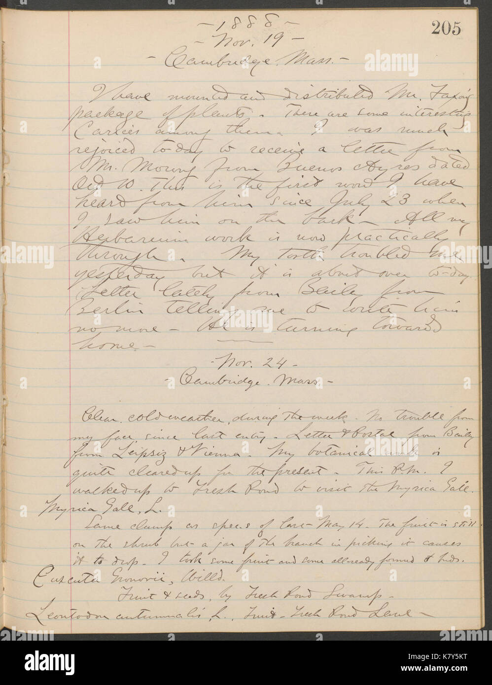 Journal, 1887 1890 (inclusive) (Page 205) BHL40346897 Stock Photo - Alamy