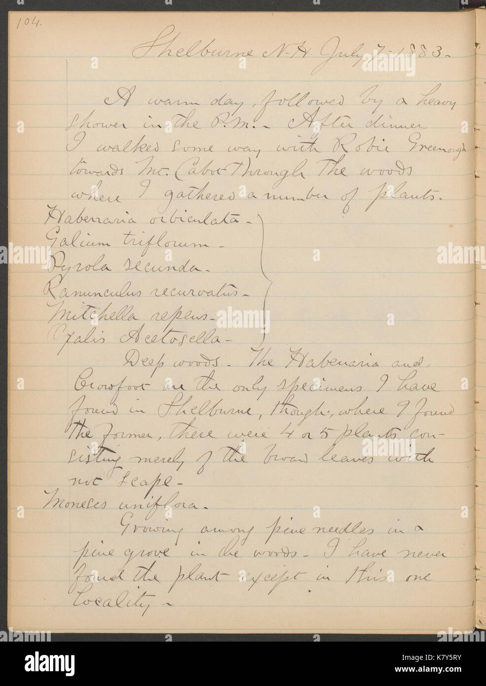 Journal,1882 1885 (Page 104) BHL40341457 Stock Photo - Alamy