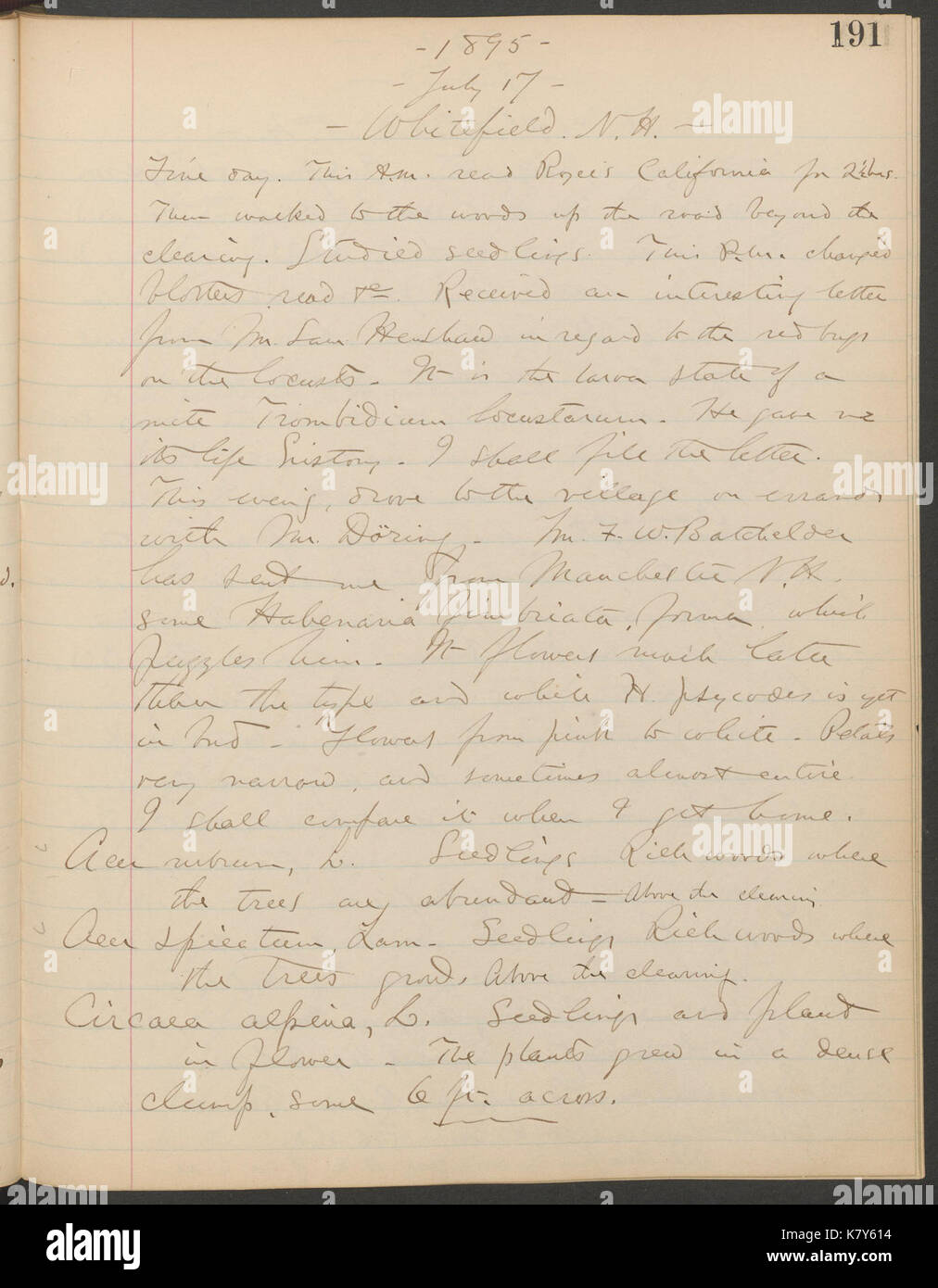Journal,1895 1896 (bulk), 1895 1927 (inclusive) (Page 191) BHL40347033 ...
