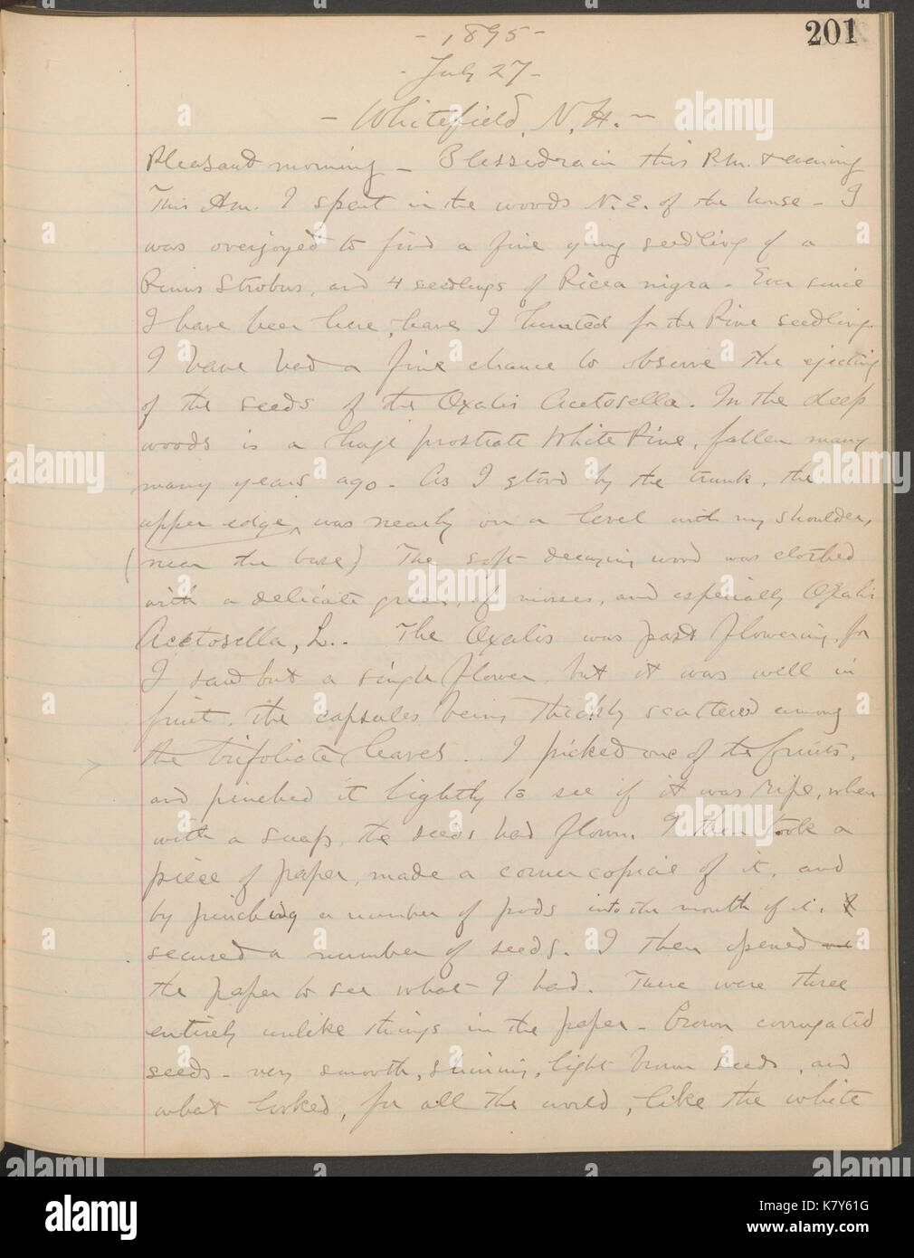 Journal,1895 1896 (bulk), 1895 1927 (inclusive) (Page 201) BHL40347043 Stock Photo - Alamy