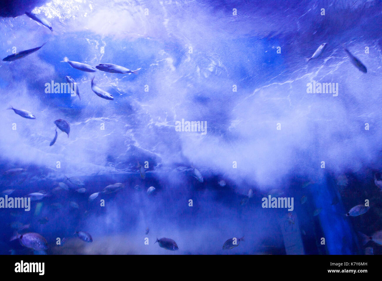 Deep blue Mediterranean water. Valencia, Spain Stock Photo - Alamy