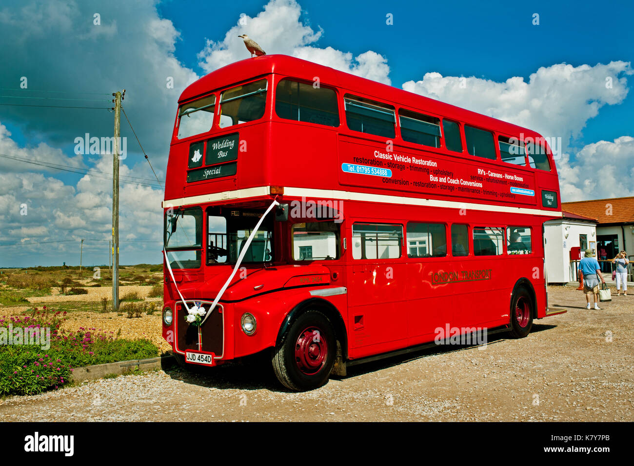Routemaster wedding bus with seagull on roof, Dungeness, Kent Stock ...