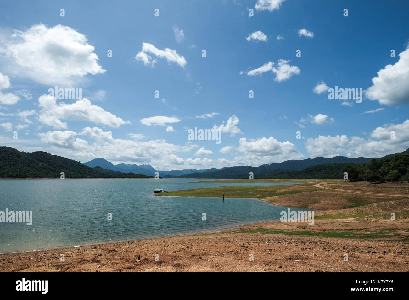 Landscape of Dalat, Vietnam. Da Lat specific sights are pine wood with ...