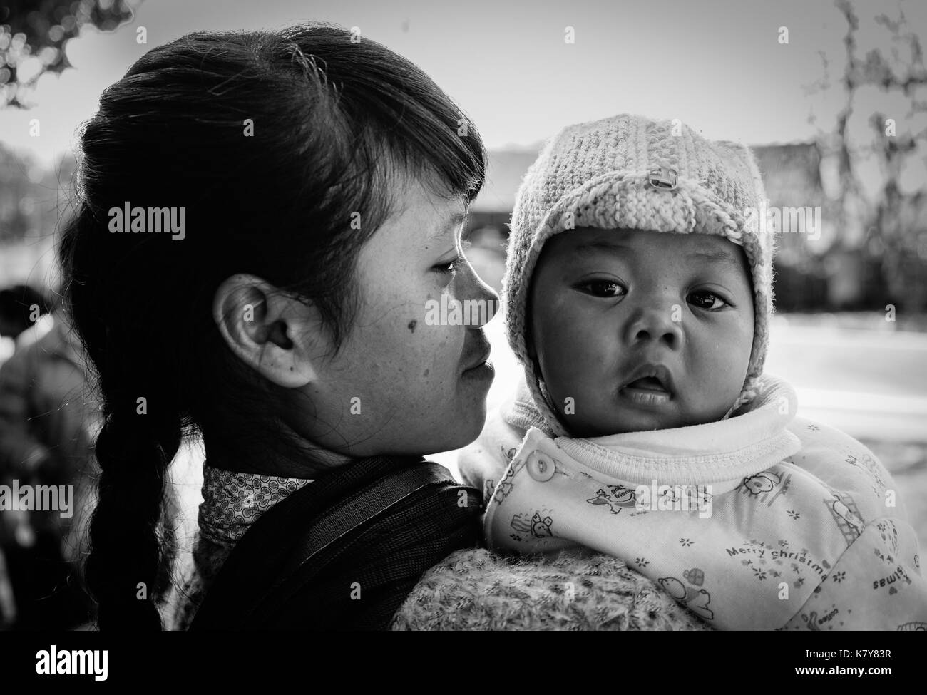 Koho hi-res stock photography and images - Alamy