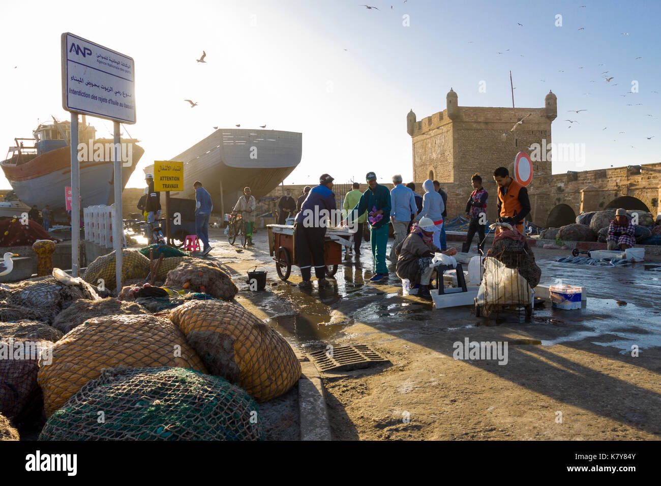 Safi fish hi-res stock photography and images - Alamy