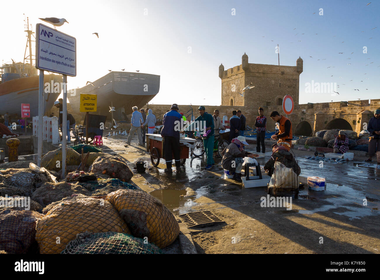 Safi fish hi-res stock photography and images - Alamy