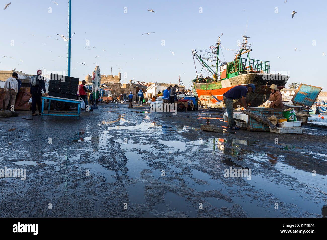 Safi fish hi-res stock photography and images - Alamy