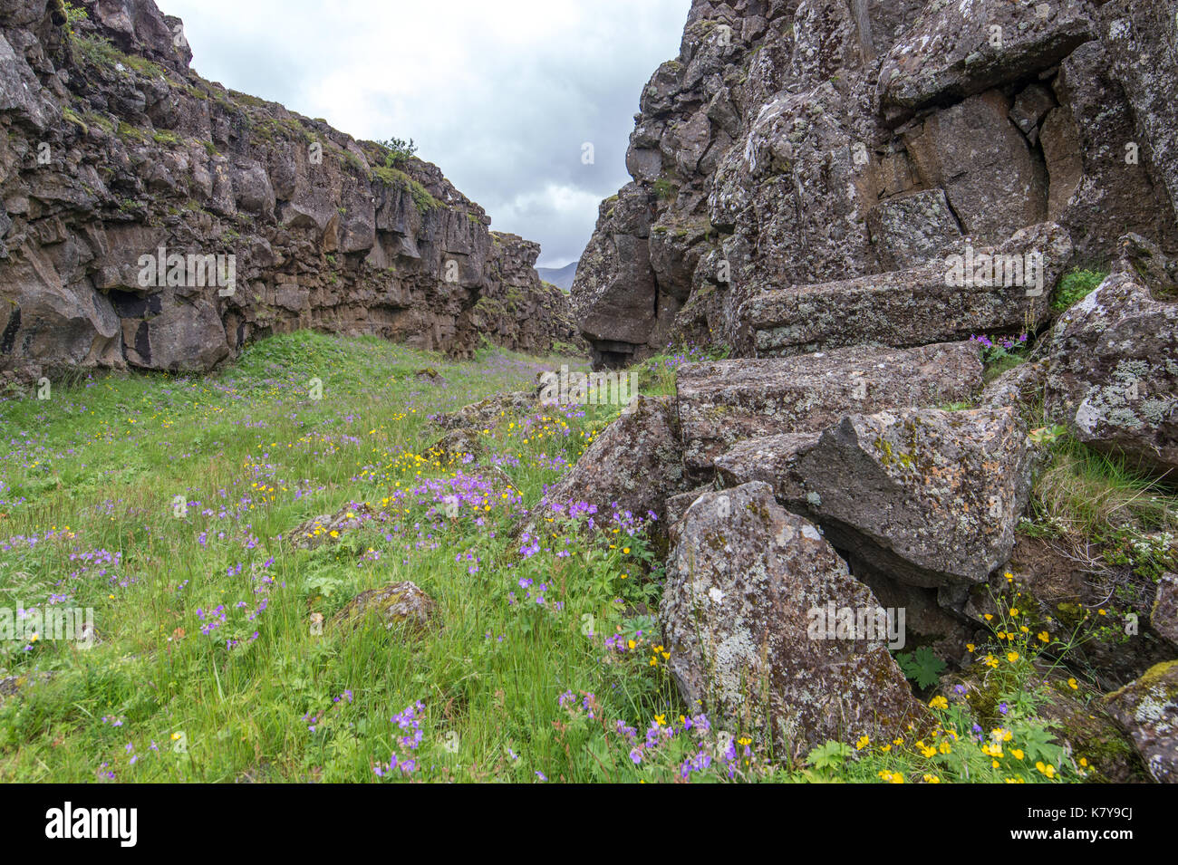 Iceland - Thingvellir, the rift valley that marks the crest of the Mid ...