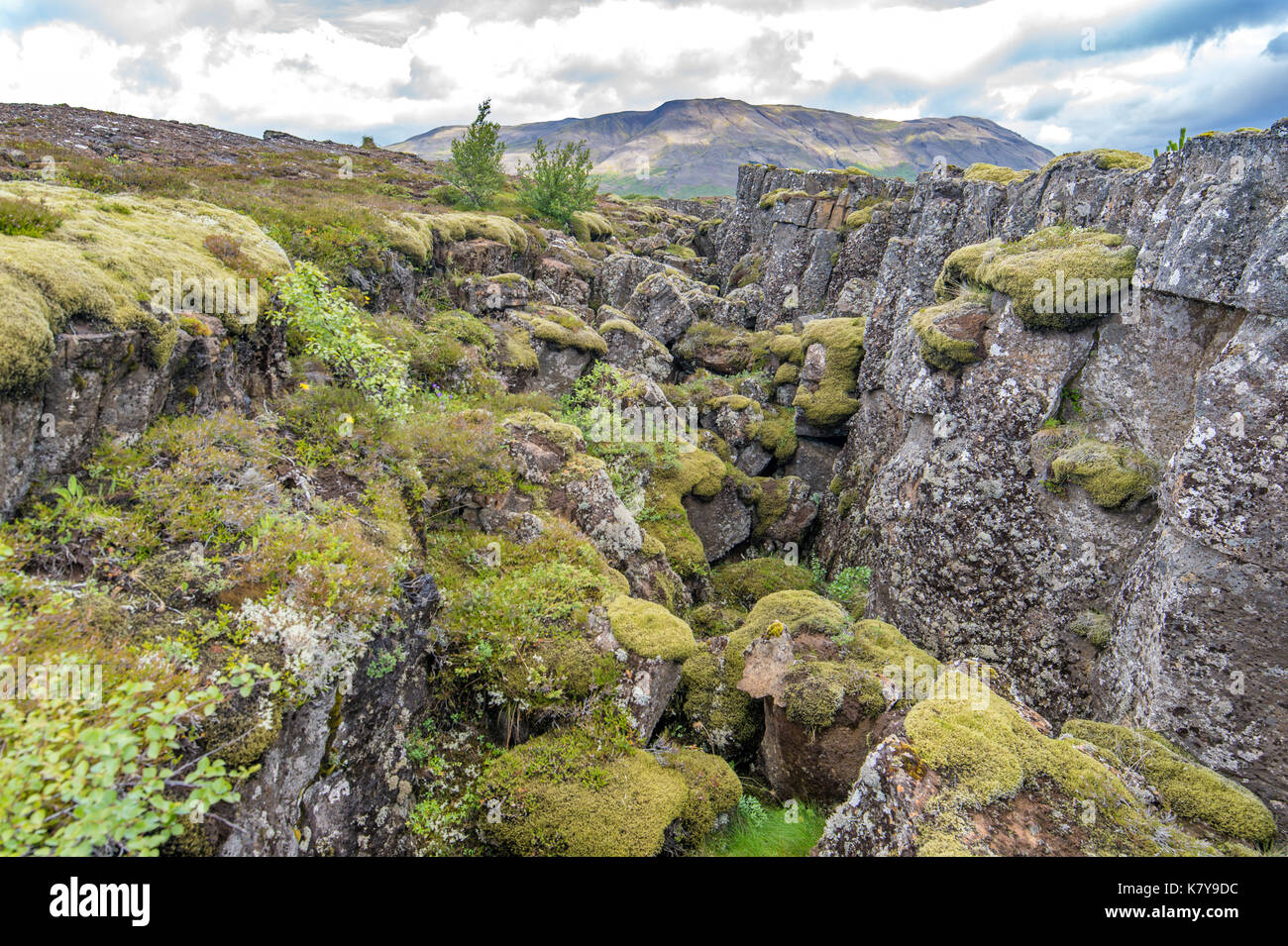 Iceland - Thingvellir, the rift valley that marks the crest of the Mid ...