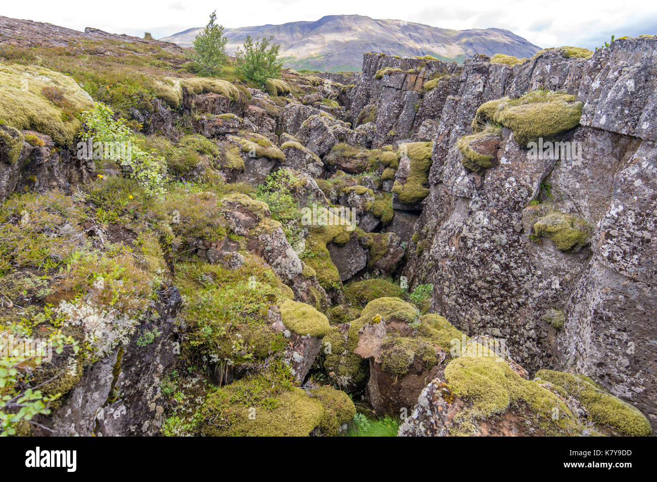 Iceland - Thingvellir, the rift valley that marks the crest of the Mid ...
