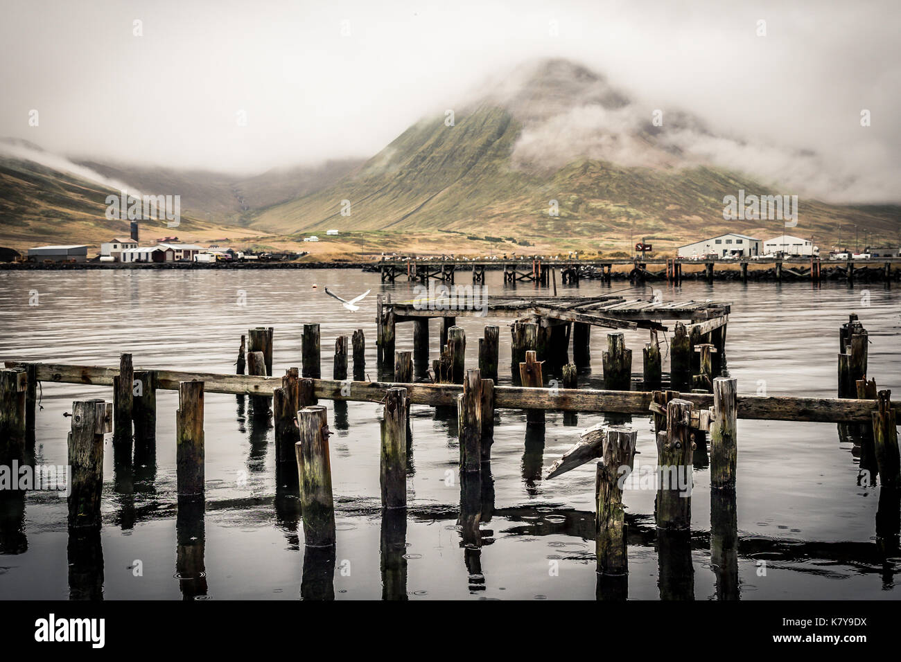 Iceland Fiord Scenery High Resolution Stock Photography and Images - Alamy