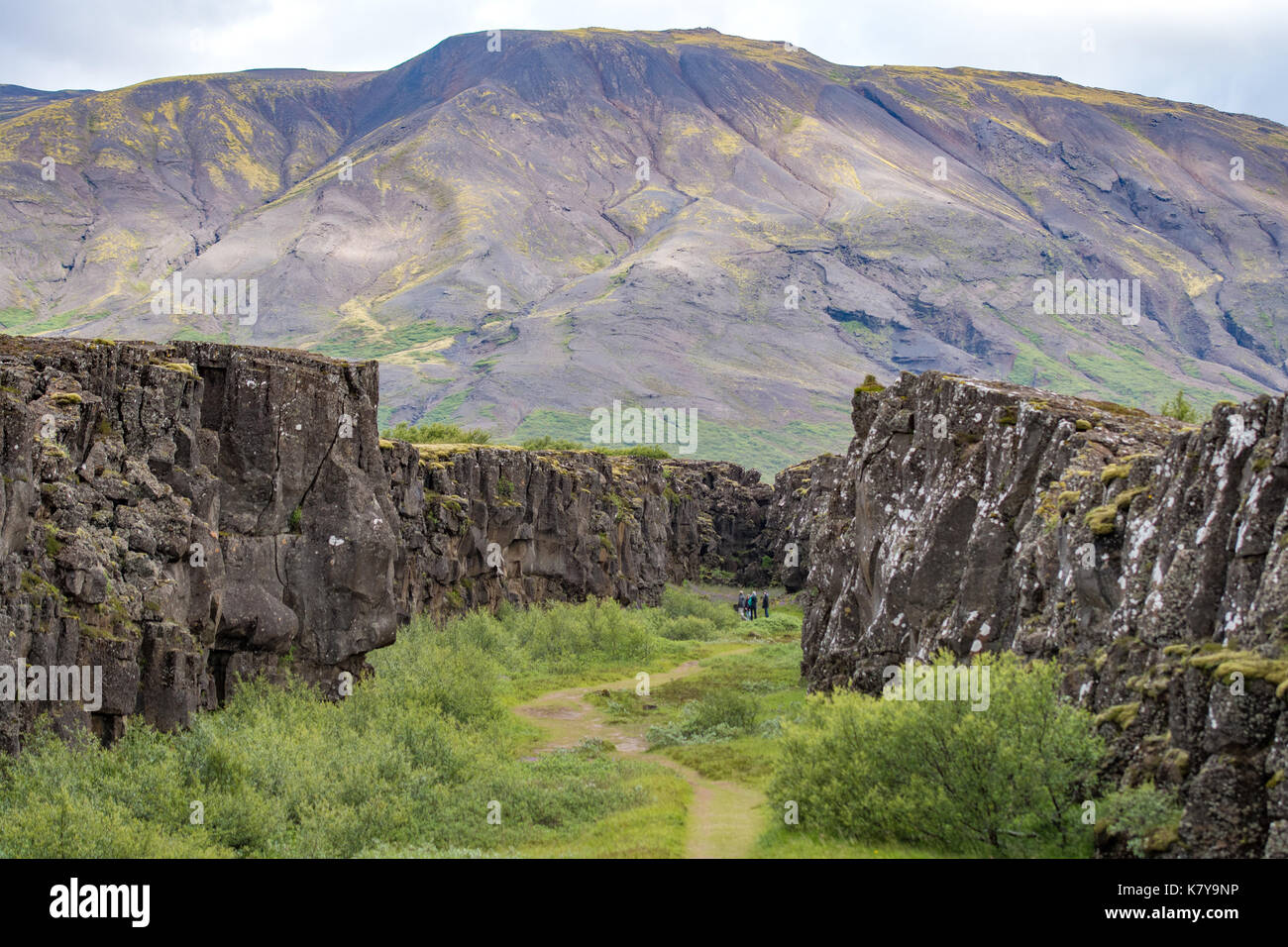 Iceland - Thingvellir, the rift valley that marks the crest of the Mid ...