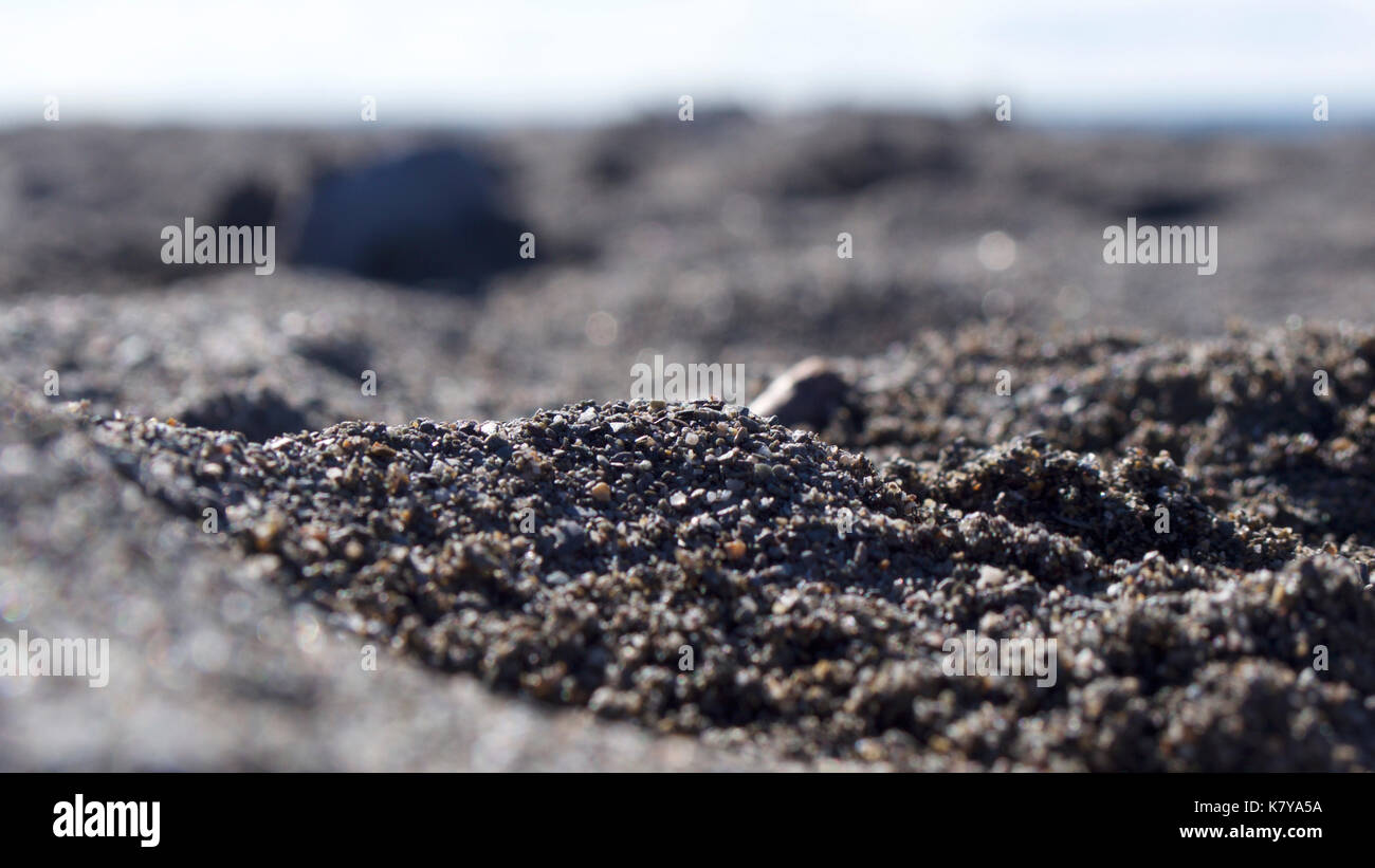 Close up sand grains beach hi-res stock photography and images - Alamy