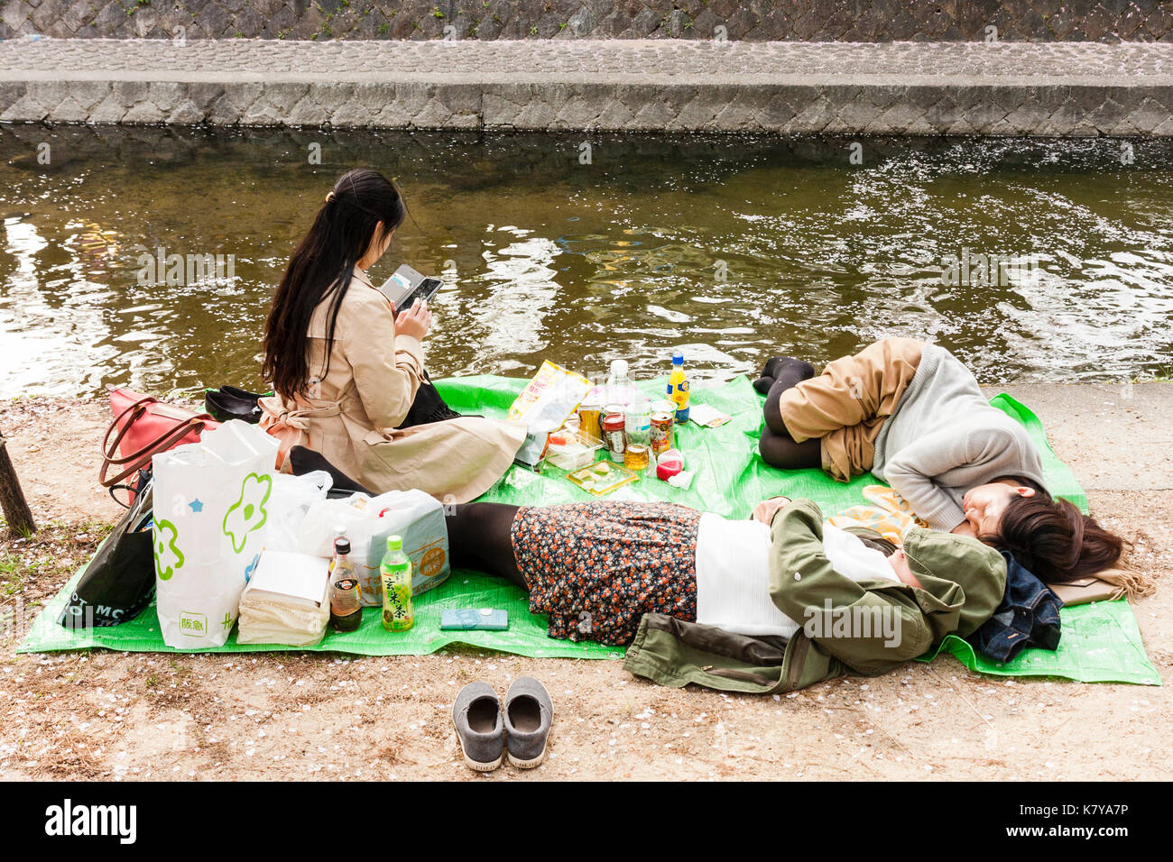 Traditional spring cherry blossom party by the Shukugawa river ...