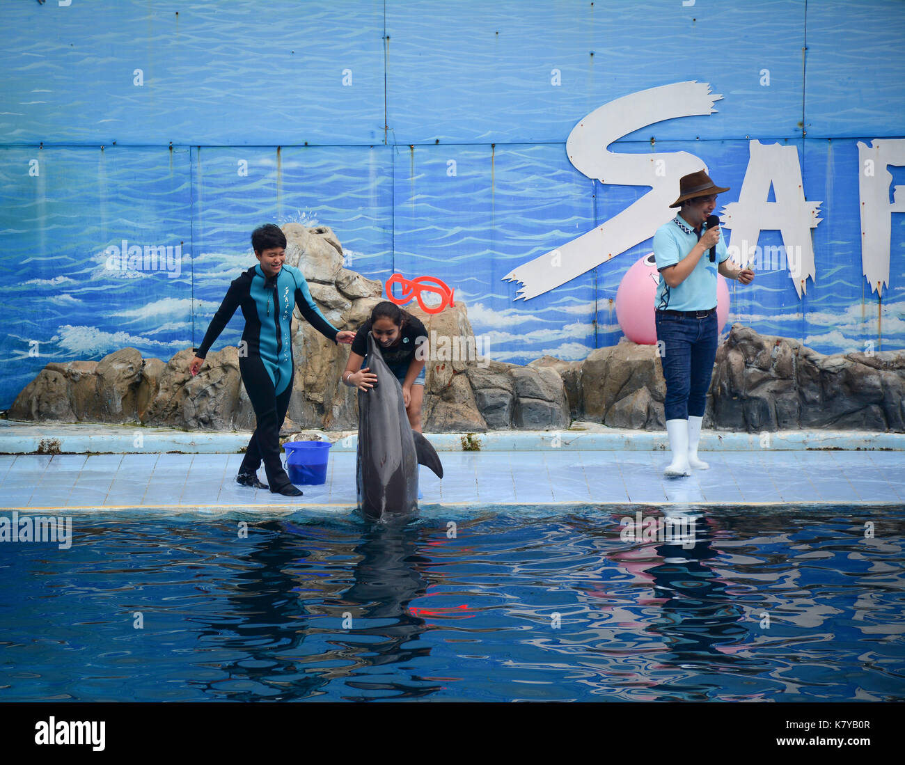 Bangkok, Thailand - Jun 16, 2016. The dolphin trainer and her dolphin ...