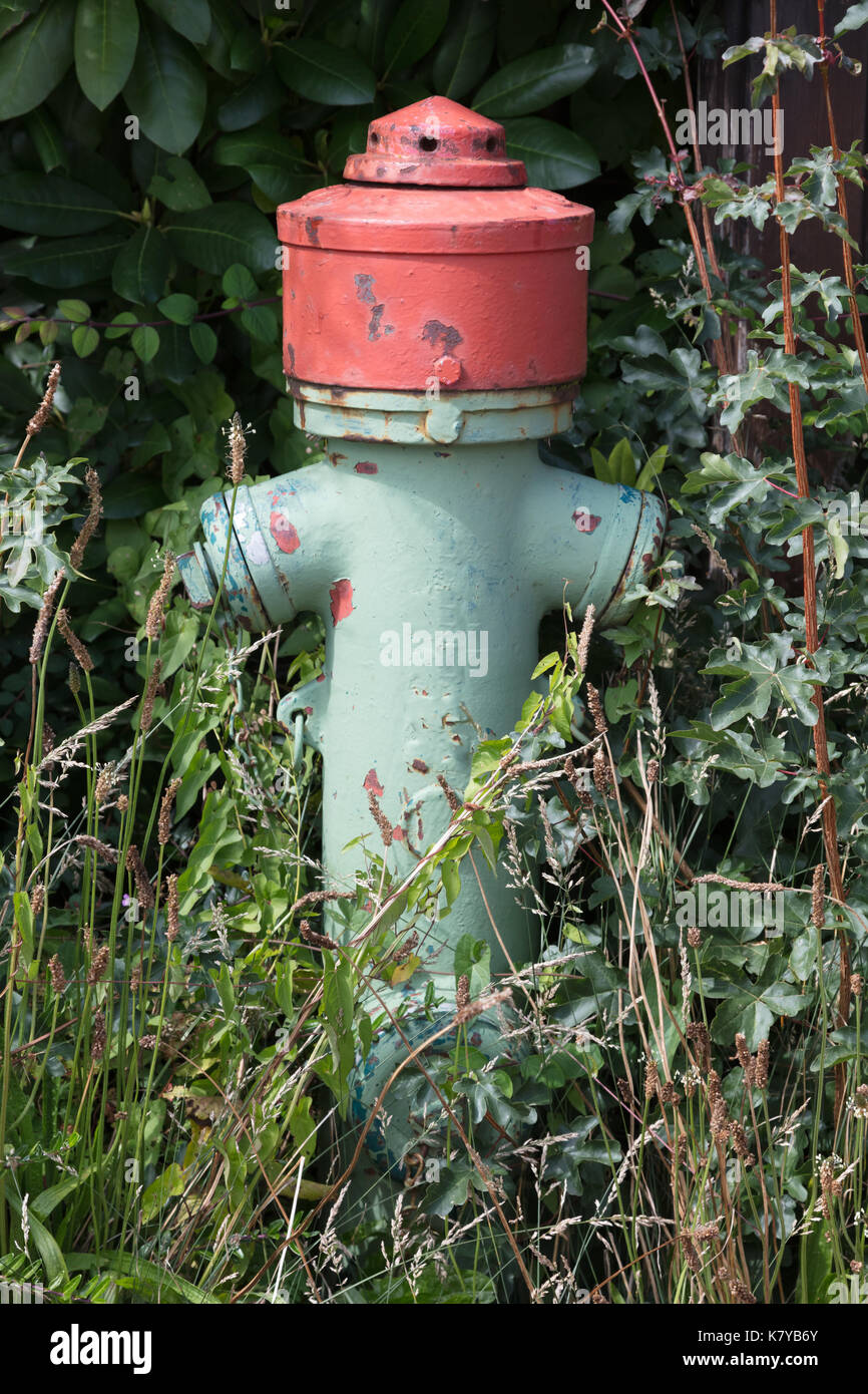Green fire hydrant on a city sidewalk, Austria Stock Photo - Alamy