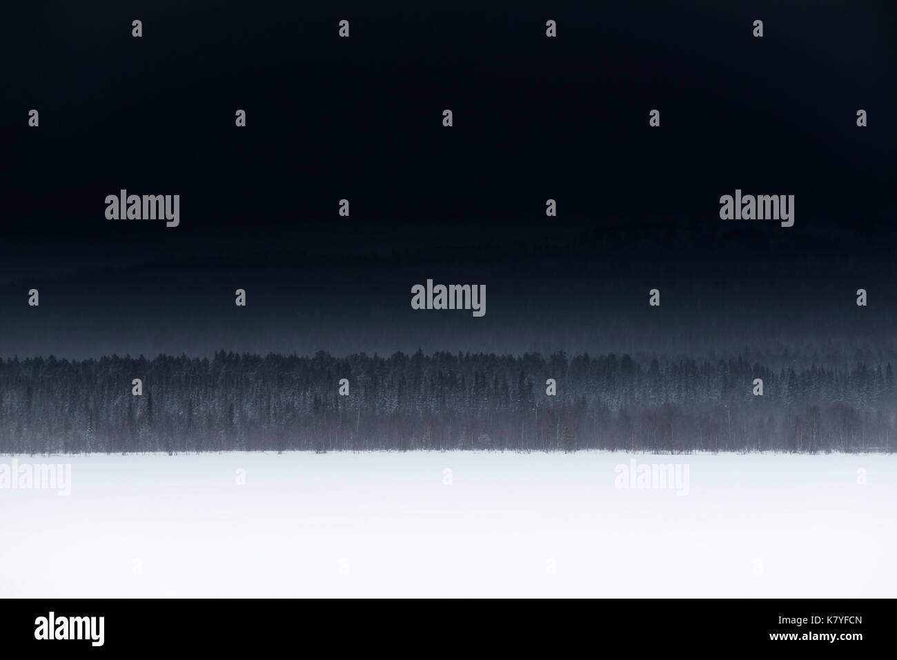 Nightfall forest hi-res stock photography and images - Alamy