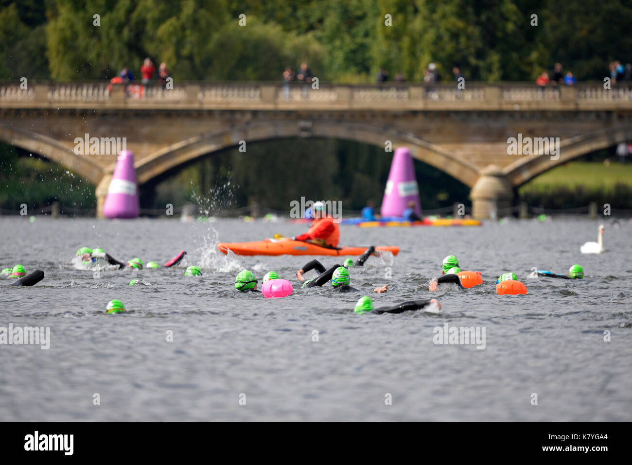 Serpentine swimming london hi-res stock photography and images - Alamy