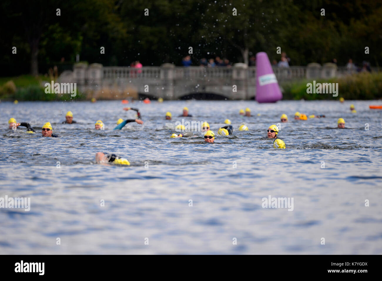 Swim serpentine hi-res stock photography and images - Alamy