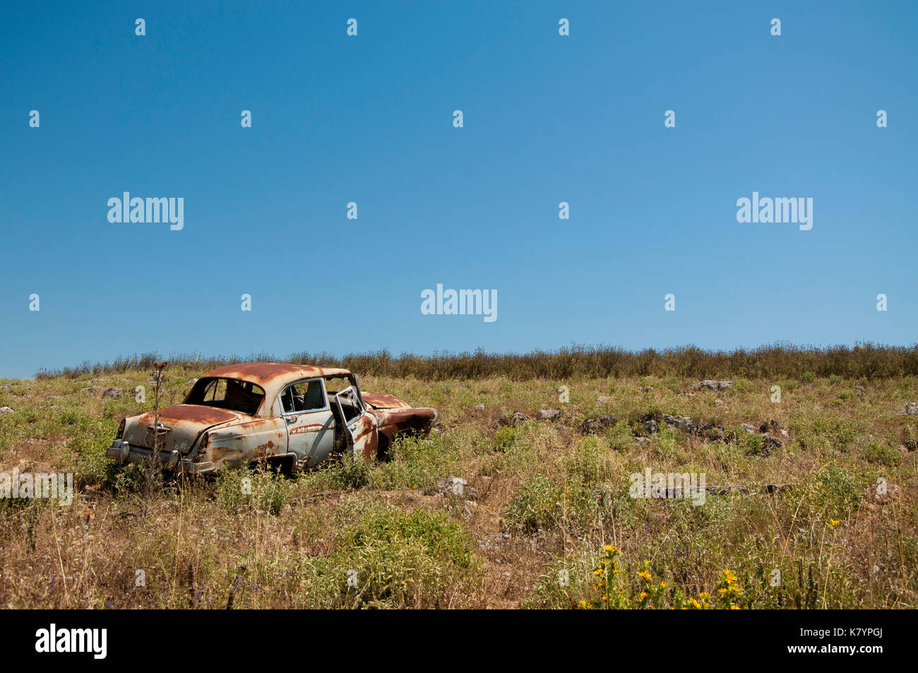 Vintage car in a field hi-res stock photography and images - Alamy