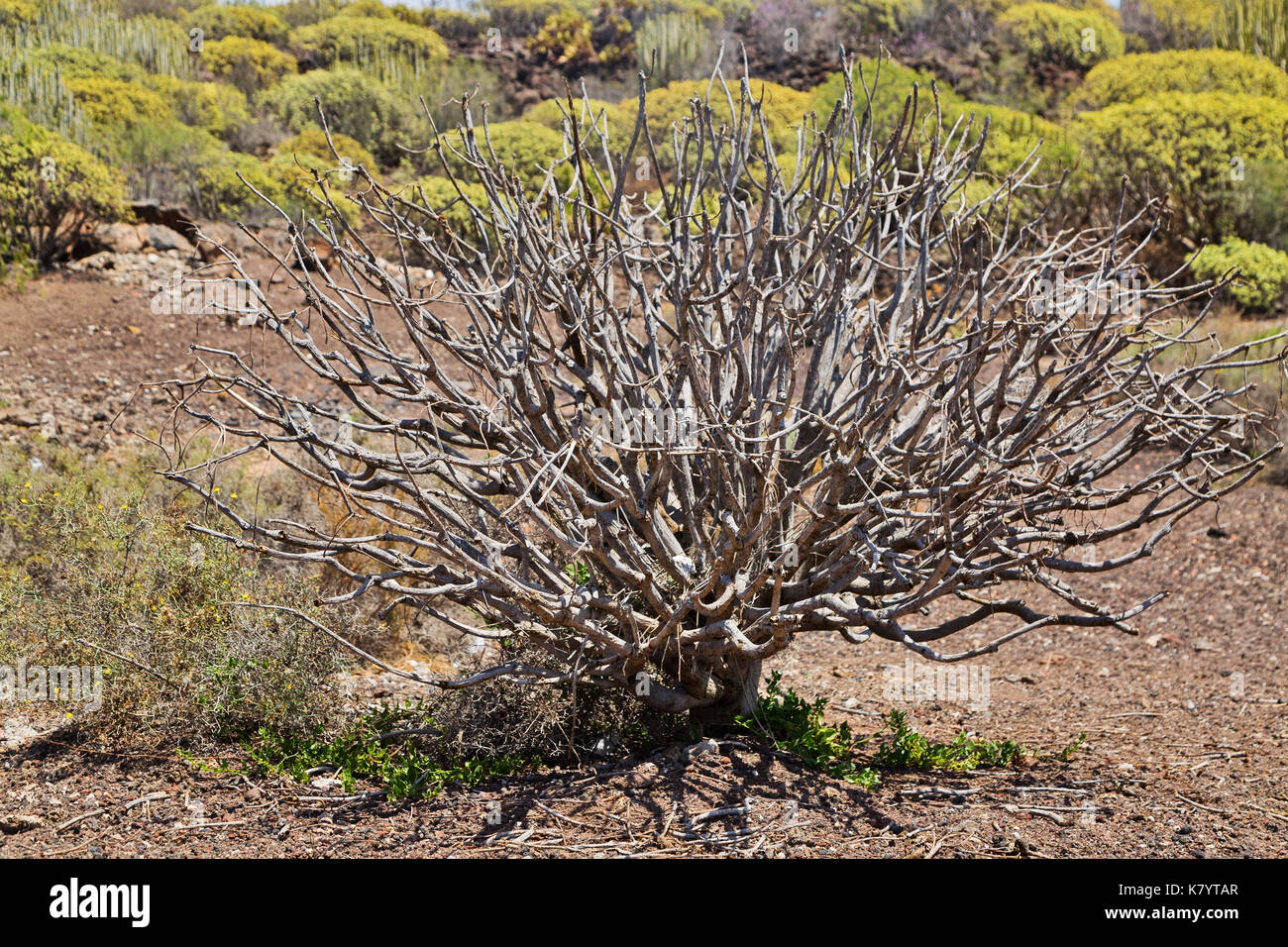 Alone desolate island hi-res stock photography and images - Alamy