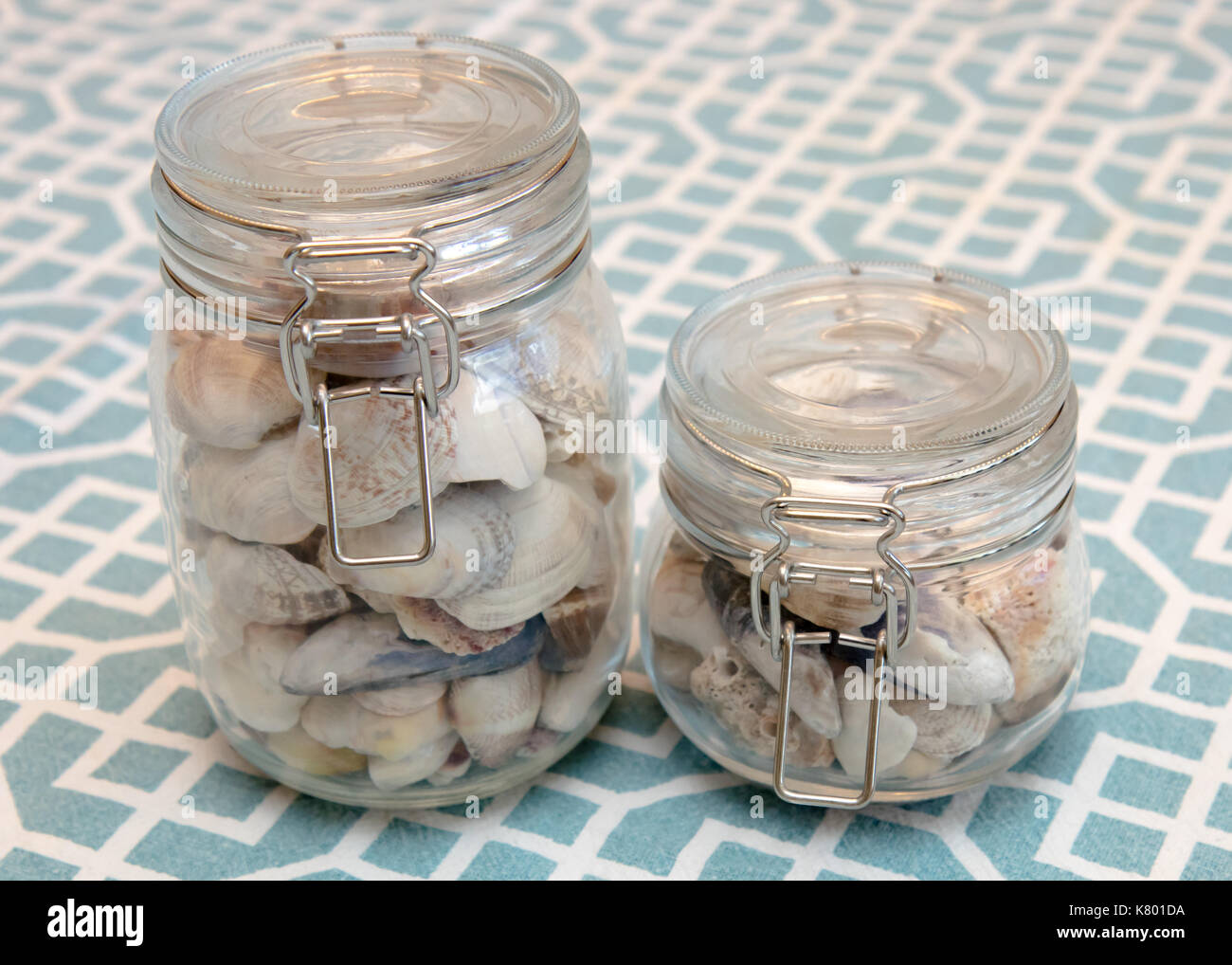 Two scallop shells hi-res stock photography and images - Alamy