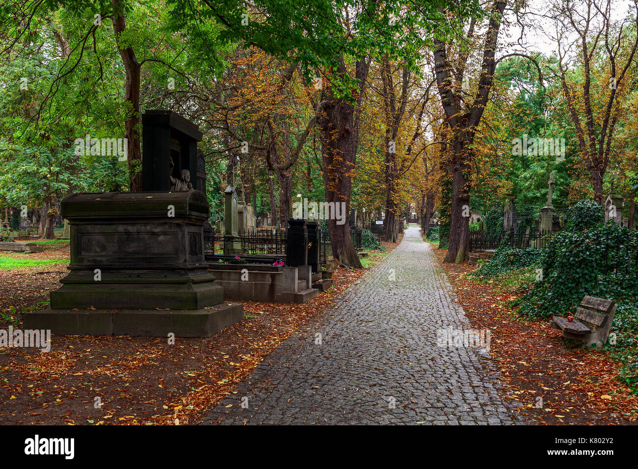 Olsany cemetery hi-res stock photography and images - Alamy