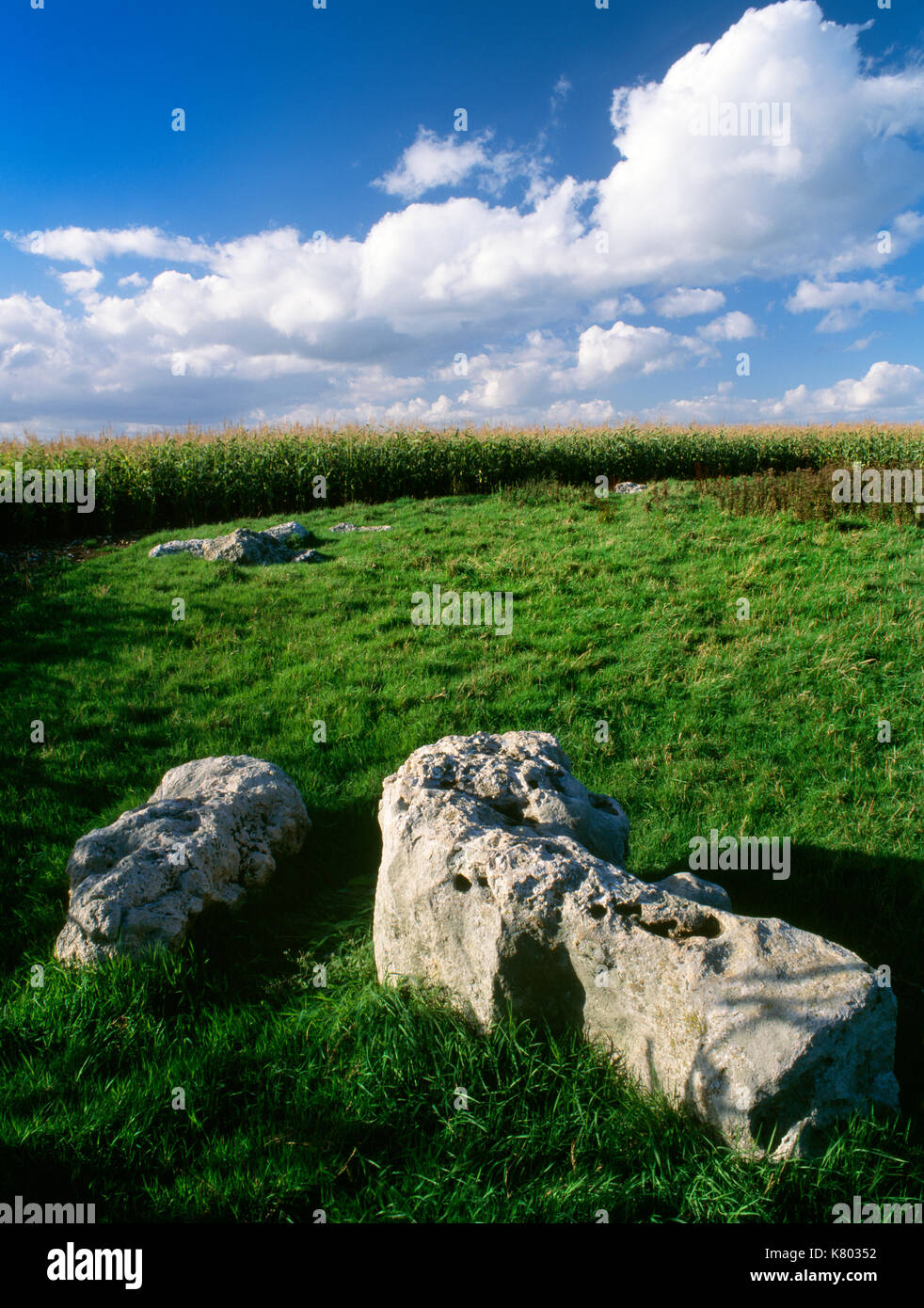 View NW of Kingston Russell Late Neolithic/Early Bronze Age stone ...