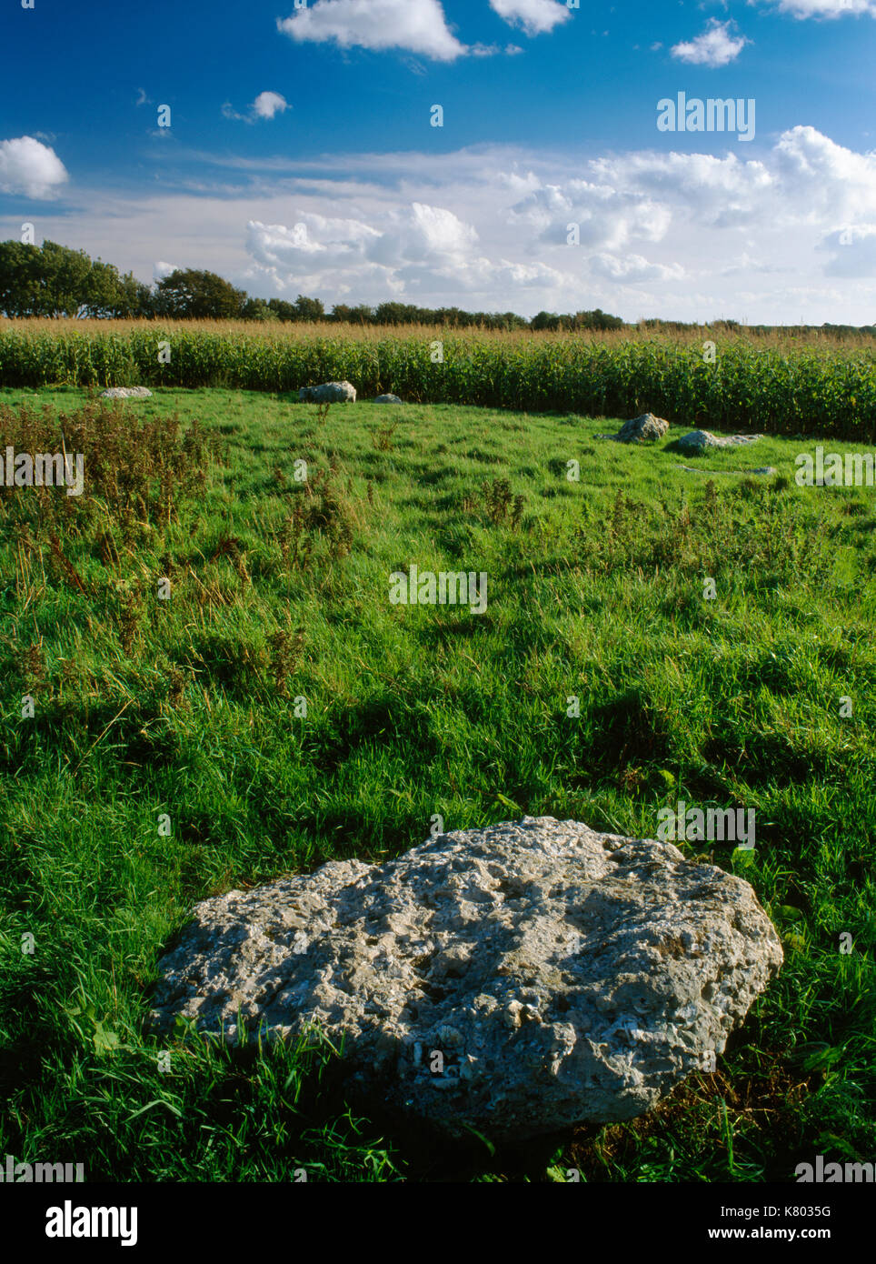 View SW of Kingston Russell Late Neolithic/Early Bronze Age stone ...