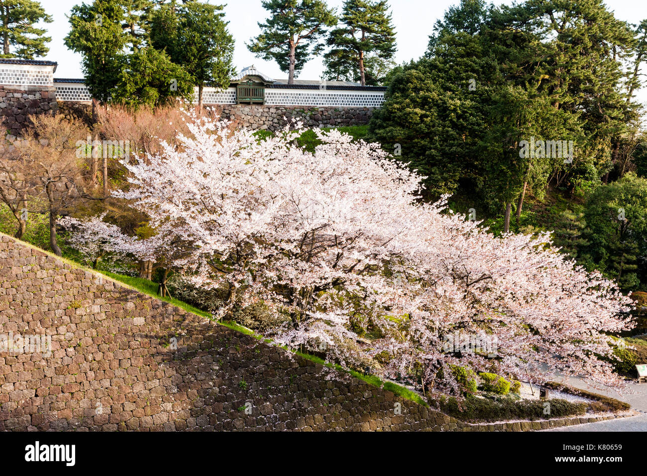 Namako kabe hi-res stock photography and images - Alamy