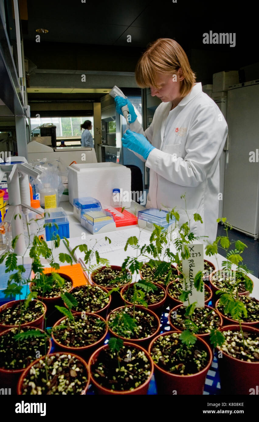 Millennium seed bank hi-res stock photography and images - Alamy